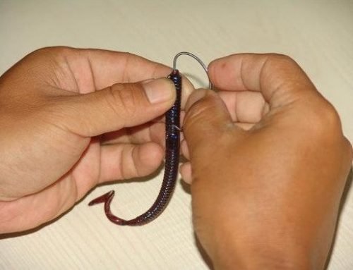 13 common rigs for fishing beginners - Terminalpro